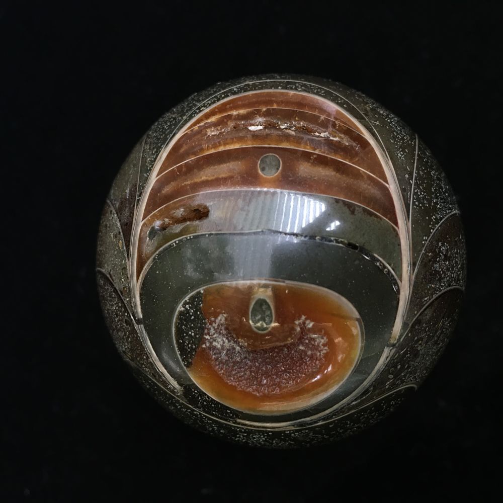 Ammonite Sphere - Buy High Quality Crytals - Conscious Stones