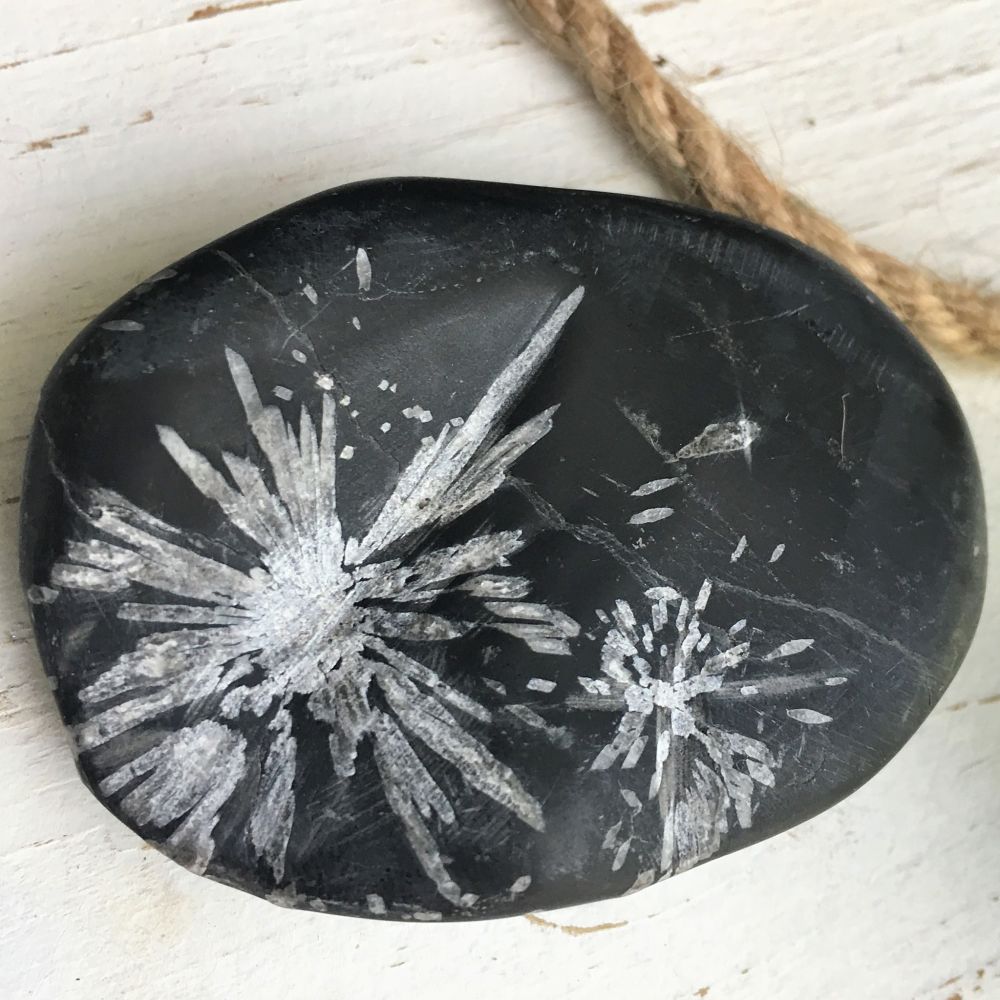 Chrysanthemum Stone - Buy Unique Crystals and Stones - Conscious Stones